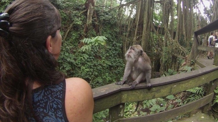 Lydia | Pet sitter in West Drayton | Pawshake.co.uk